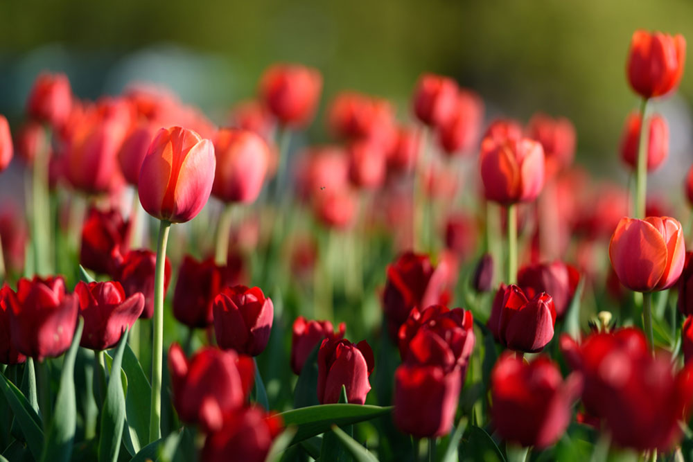 Presentación de emaze at emaze Presentation